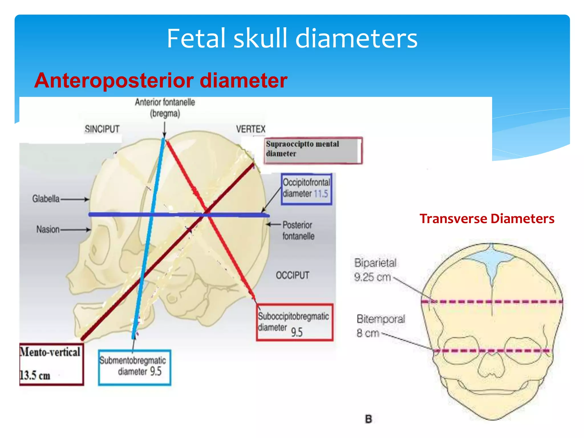 Fetopelvic relationship | PPTX