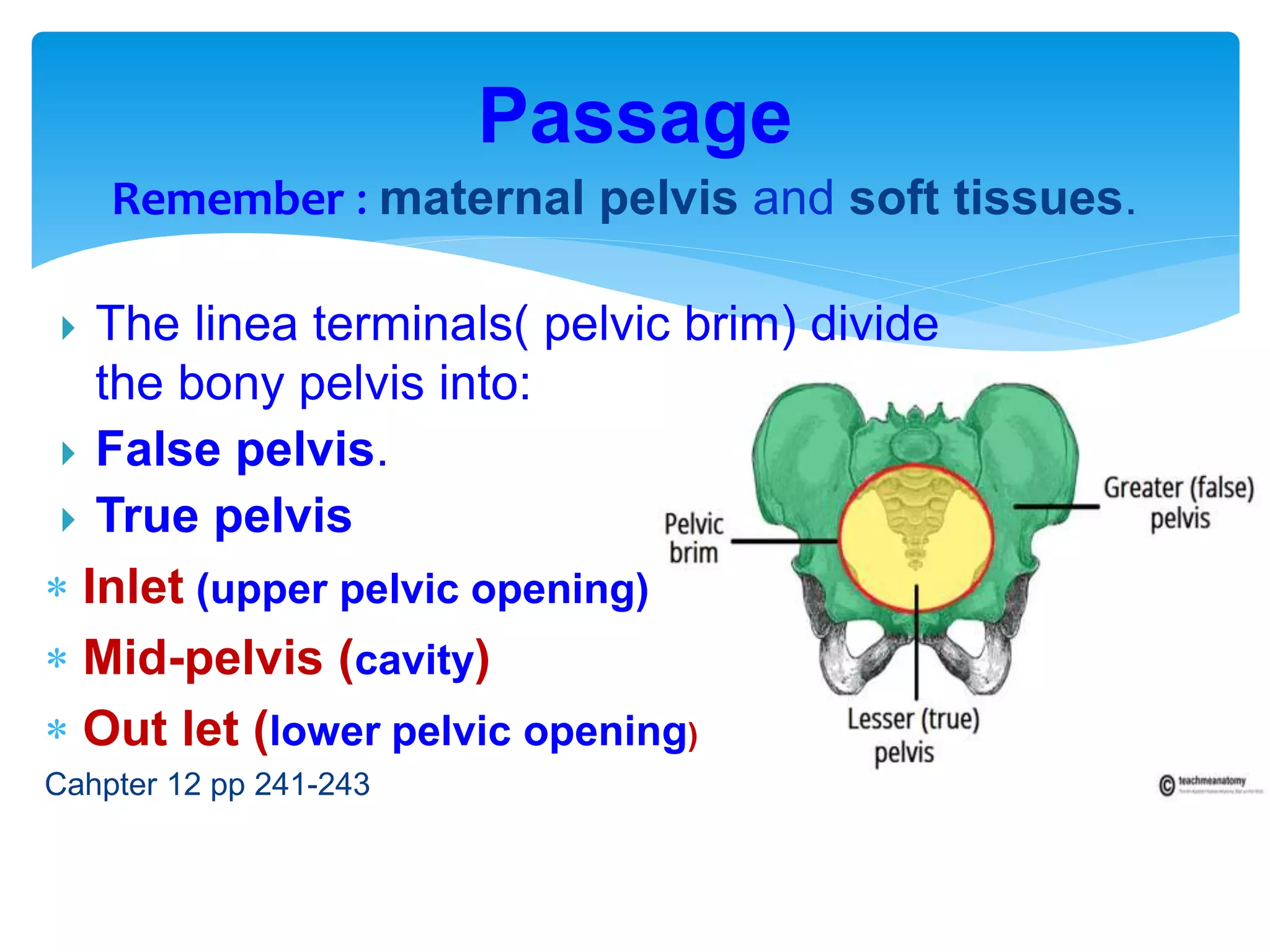 Fetopelvic relationship | PPTX