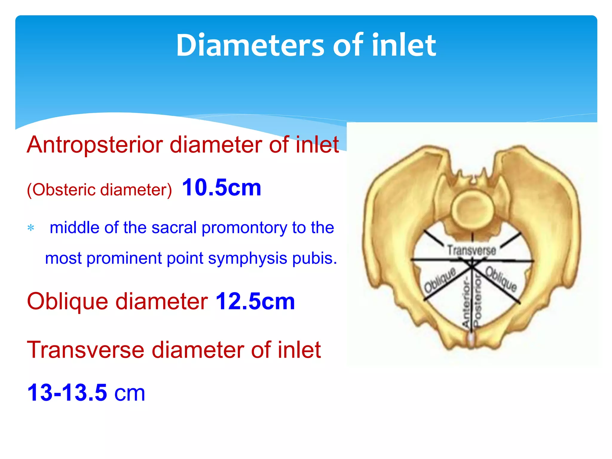 Fetopelvic relationship | PPTX
