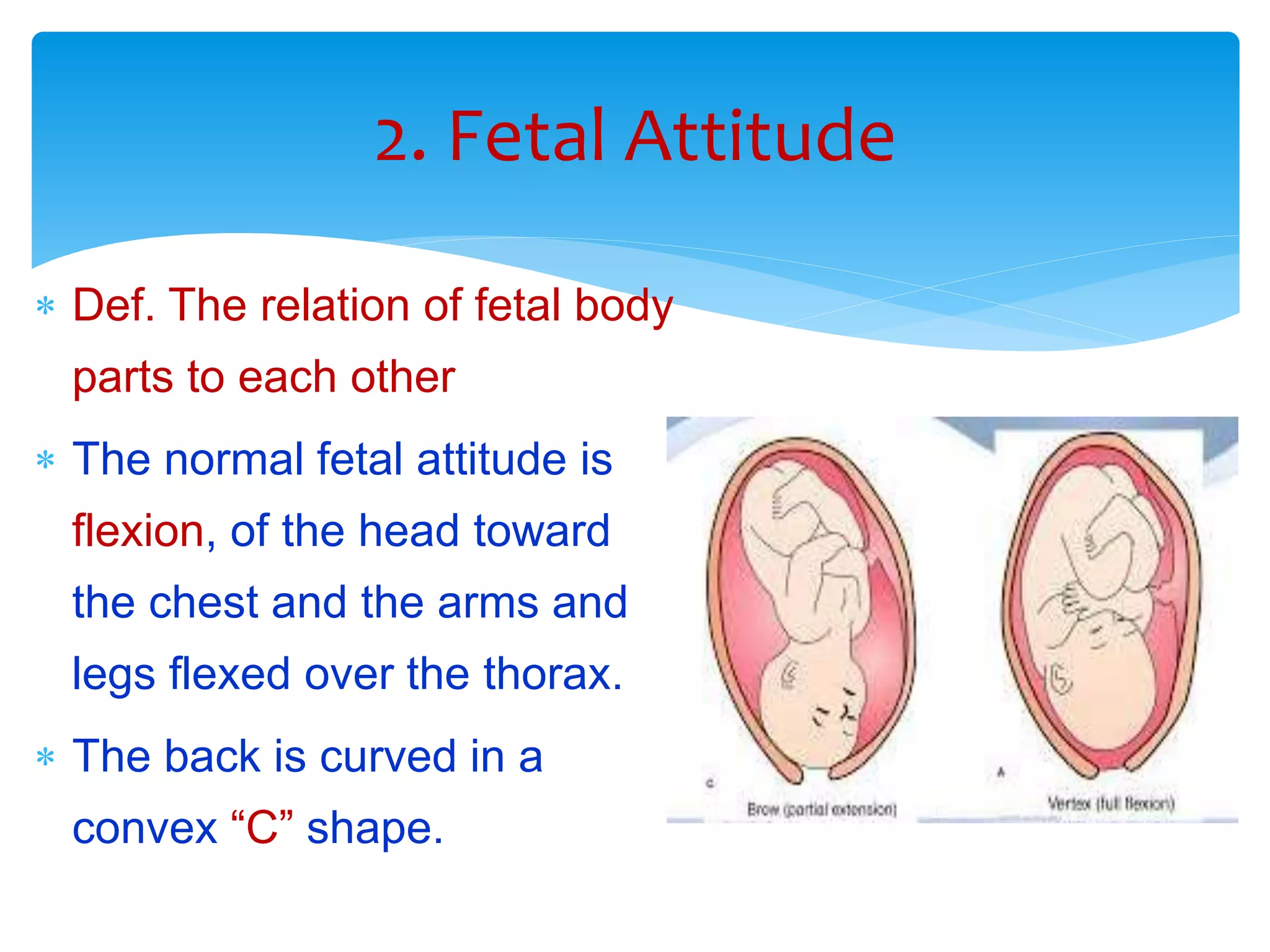 Fetopelvic relationship | PPTX