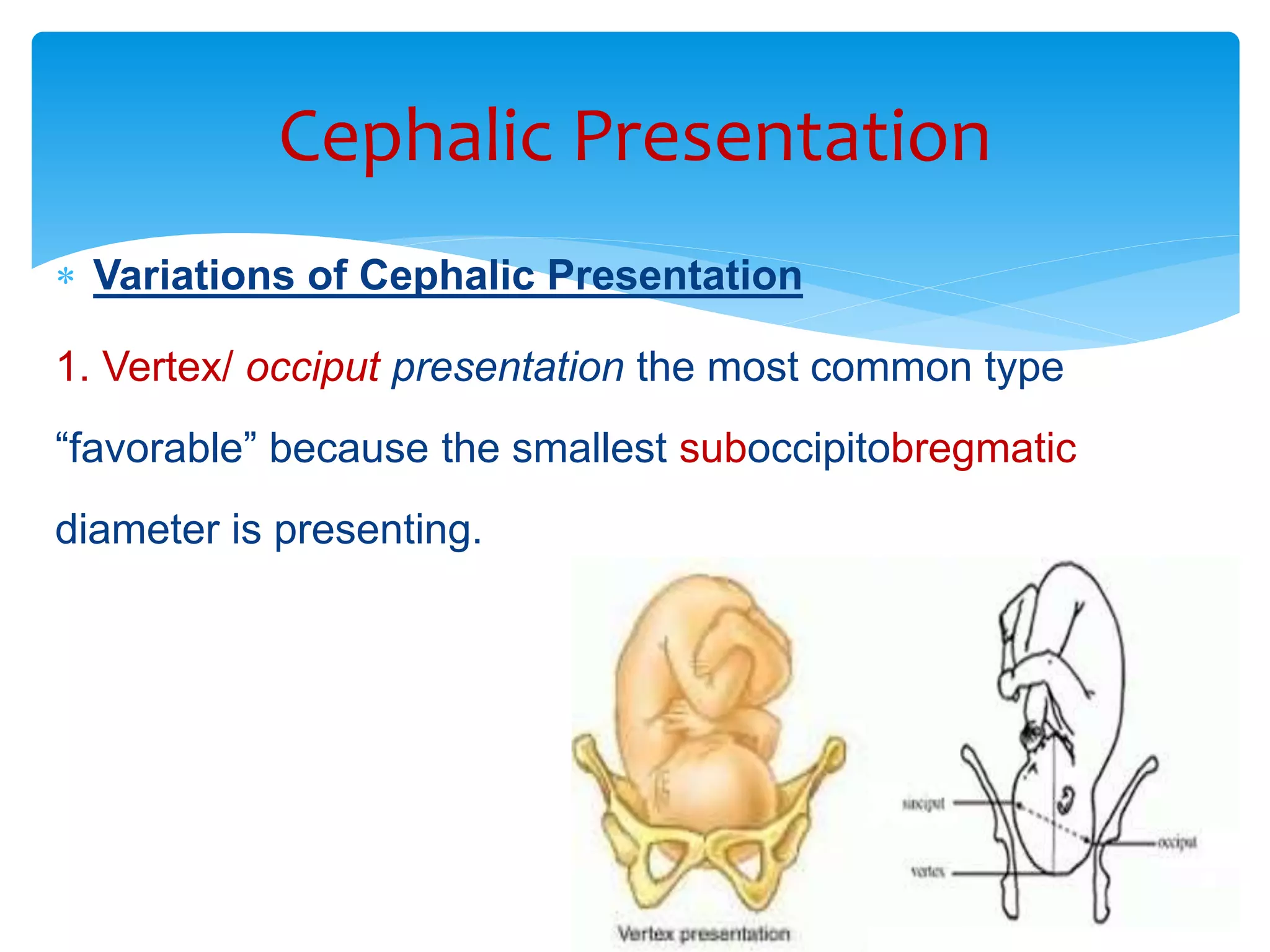 Fetopelvic relationship | PPTX
