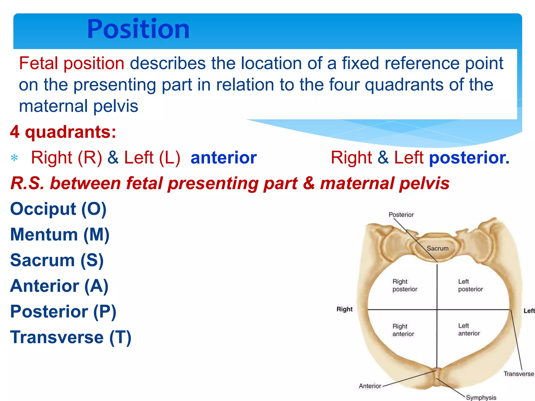 Fetopelvic relationship | PPTX