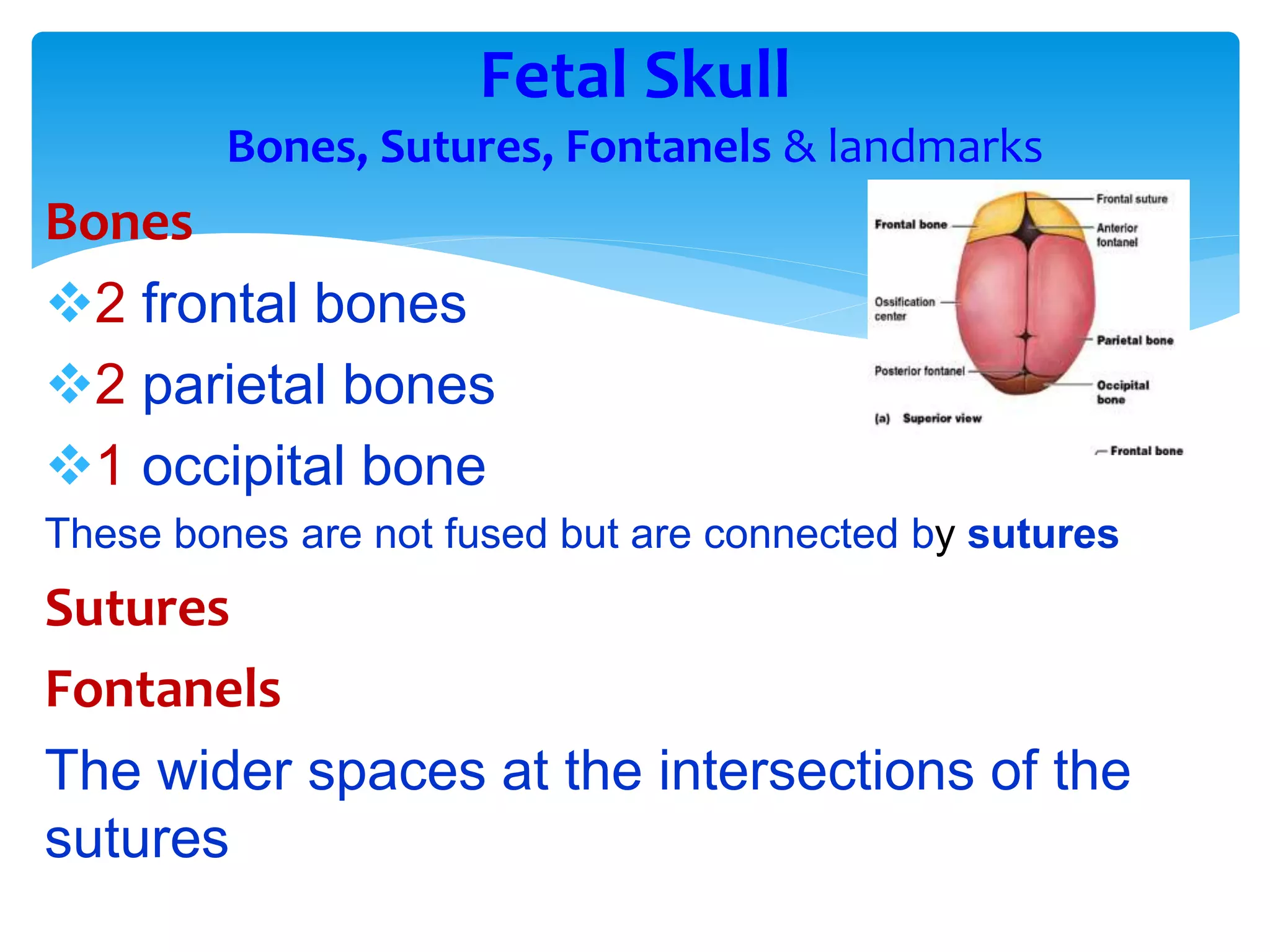Fetopelvic relationship | PPTX