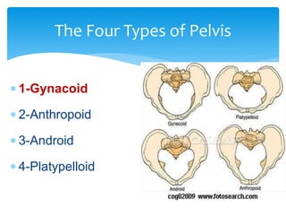 Fetopelvic relationship | PPTX