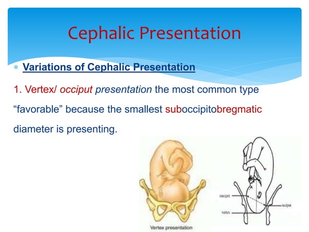 Fetopelvic relationship | PPTX | Pregnancy | Reproductive Health