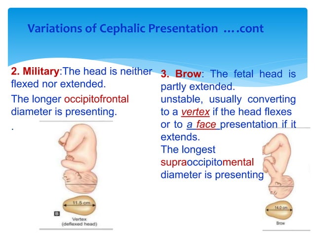 Fetopelvic relationship | PPTX | Pregnancy | Reproductive Health