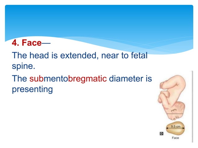 Fetopelvic relationship | PPTX | Pregnancy | Reproductive Health