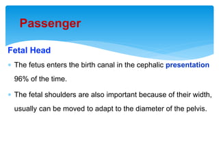 Fetopelvic relationship | PPTX