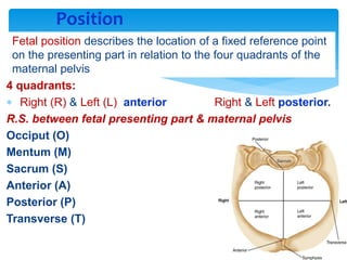 Fetopelvic relationship | PPT