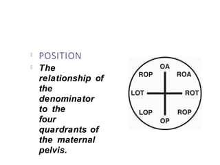 feto pelvic relationship includes lie, presentation, position, attitude ...