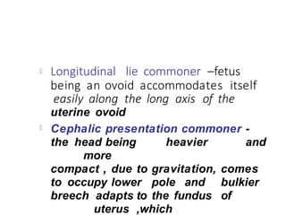 feto pelvic relationship includes lie, presentation, position, attitude ...