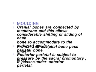feto pelvic relationship includes lie, presentation, position, attitude ...