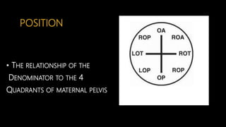 Fetopelvic relationship final presentation.pptx