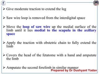 Fetotomy in bovines by Dr Dushyant Yadav BASU, Patna INDIA | PDF