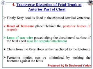 Fetotomy in bovines by Dr Dushyant Yadav BASU, Patna INDIA | PDF