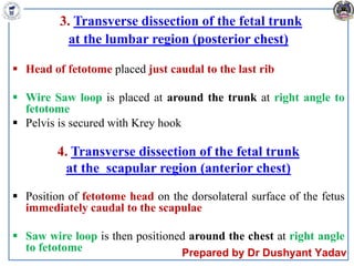 Fetotomy in bovines by Dr Dushyant Yadav BASU, Patna INDIA | PDF