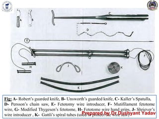 Fetotomy in bovines by Dr Dushyant Yadav BASU, Patna INDIA | PDF ...