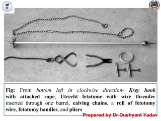 Fetotomy in bovines by Dr Dushyant Yadav BASU, Patna INDIA | PDF ...