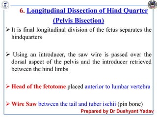 Fetotomy in bovines by Dr Dushyant Yadav BASU, Patna INDIA | PPT
