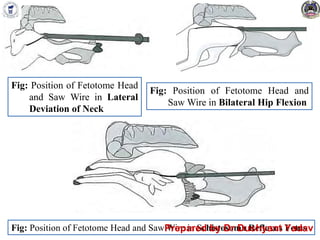 Fetotomy in bovines by Dr Dushyant Yadav BASU, Patna INDIA | PPT