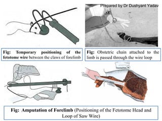 FETOTOMY in domestic animals_-presentation.pdf
