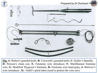 FETOTOMY in domestic animals_-presentation.pdf