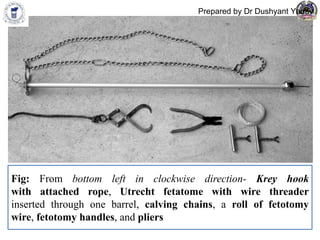 FETOTOMY in domestic animals_-presentation.pdf