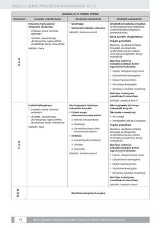 FET Phase IsiZulu Language Caps Doc. | PDF