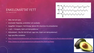 Fetter | PPT