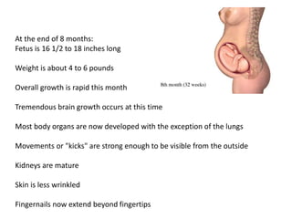 Fetus | PPT