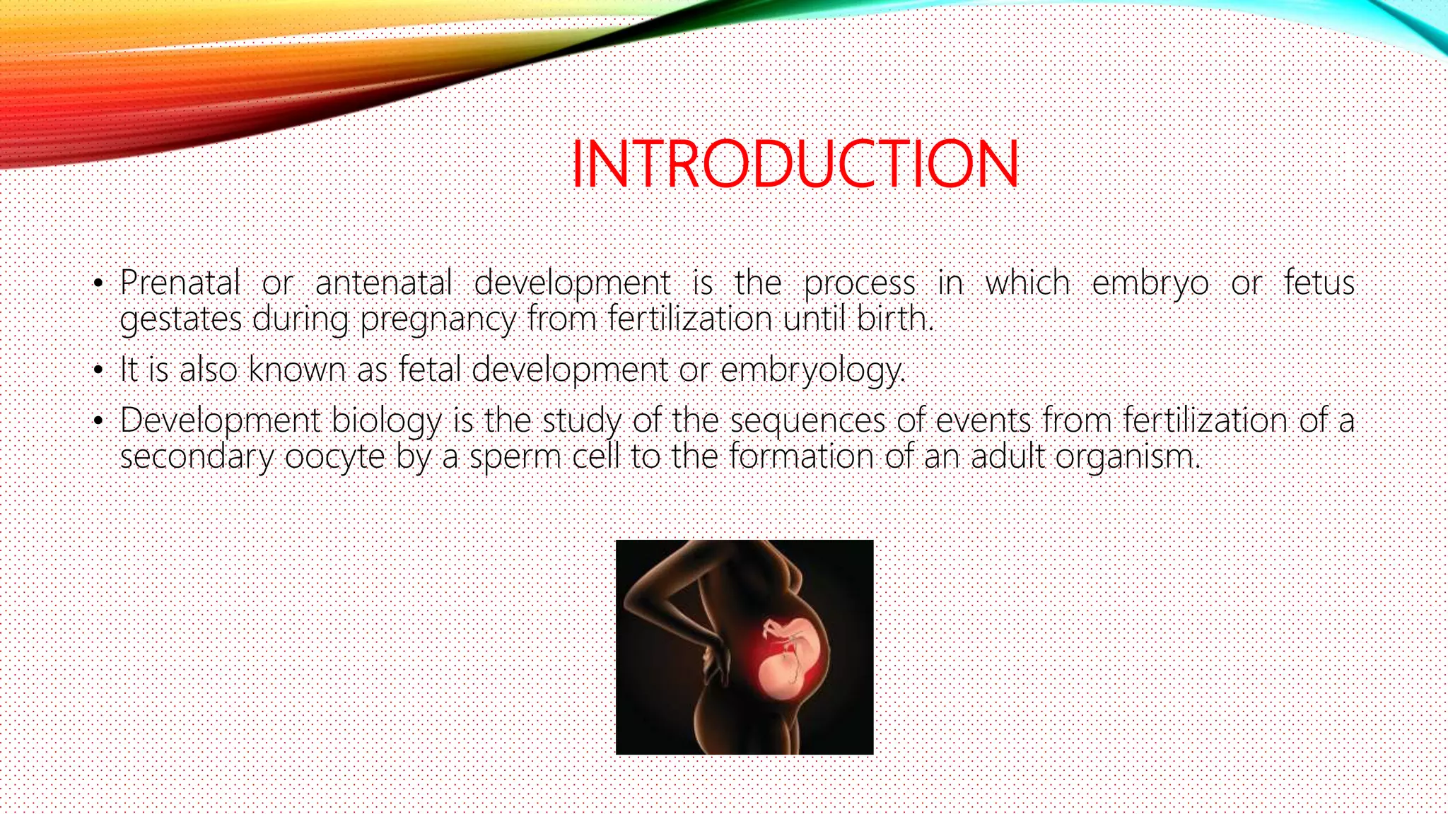 Fetus GROWTH AND ITS INFLUENCE ON DRUGS | PPTX