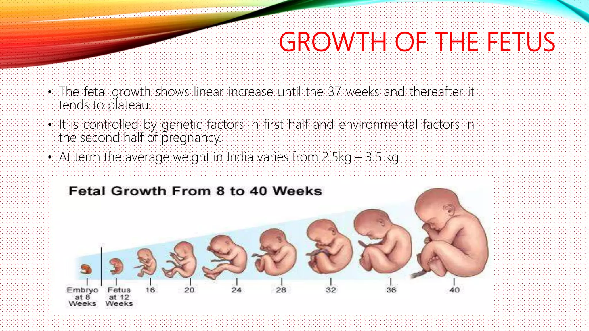 Fetus GROWTH AND ITS INFLUENCE ON DRUGS | PPTX