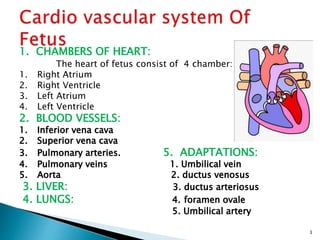 Fetus Blood Circulation.pptx