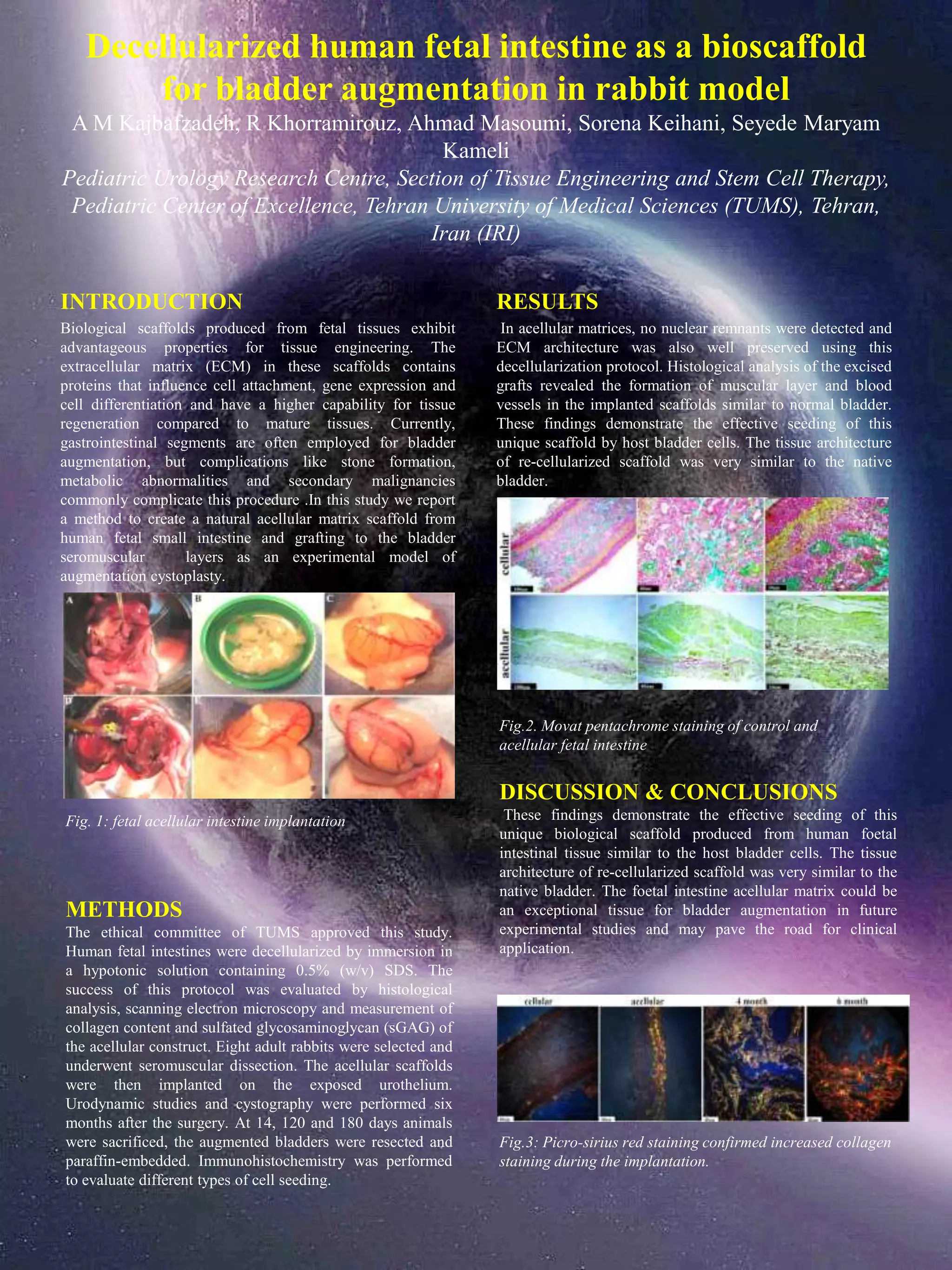 Reza Khorramirouz | PPTX