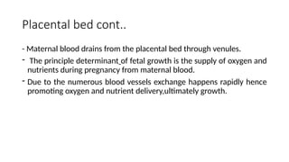 FETUS-the Fetal period and Anatomy Dr TOWANI.pptx
