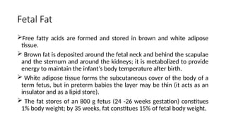 FETUS-the Fetal period and Anatomy Dr TOWANI.pptx
