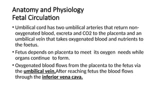 FETUS-the Fetal period and Anatomy Dr TOWANI.pptx