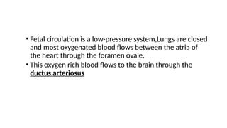 FETUS-the Fetal period and Anatomy Dr TOWANI.pptx