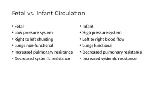 FETUS-the Fetal period and Anatomy Dr TOWANI.pptx