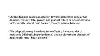 FETUS-the Fetal period and Anatomy Dr TOWANI.pptx