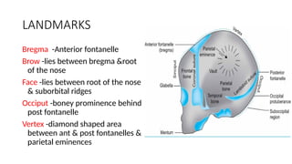 FETUS-the Fetal period and Anatomy Dr TOWANI.pptx