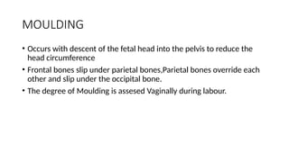 FETUS-the Fetal period and Anatomy Dr TOWANI.pptx