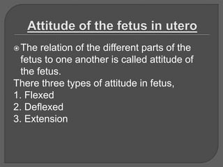 Fetus in utero | PPTX