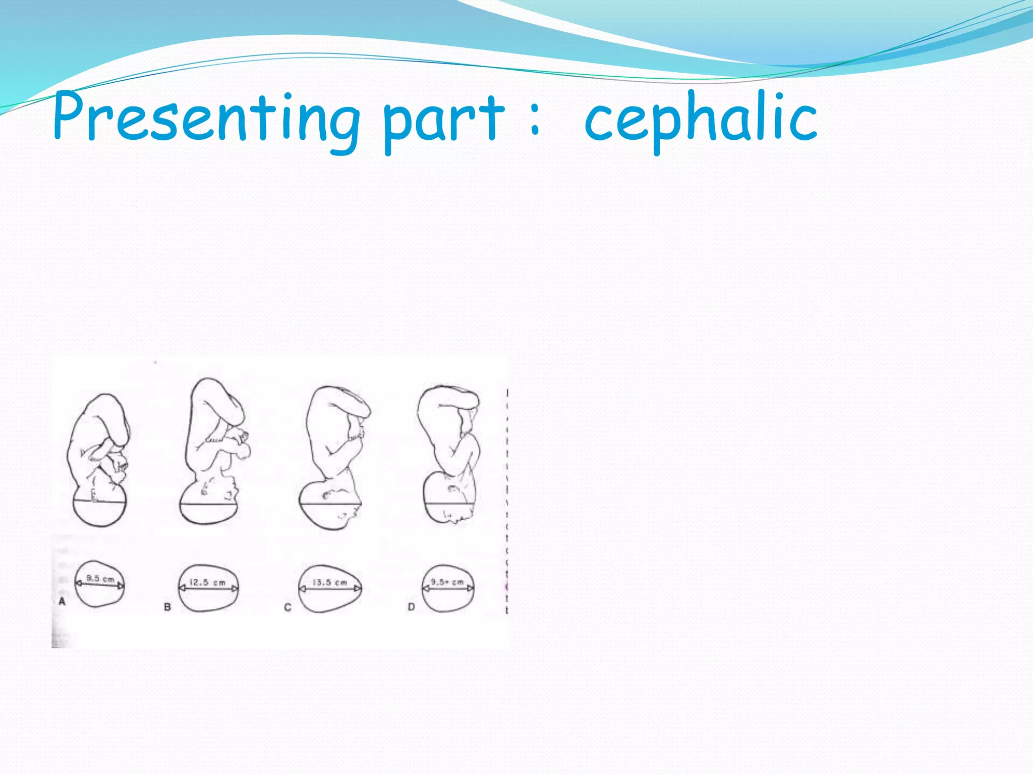 Fetus in utero | PPTX
