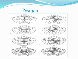 Fetus in utero | PPTX