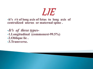 Fetus in utero | PPTX