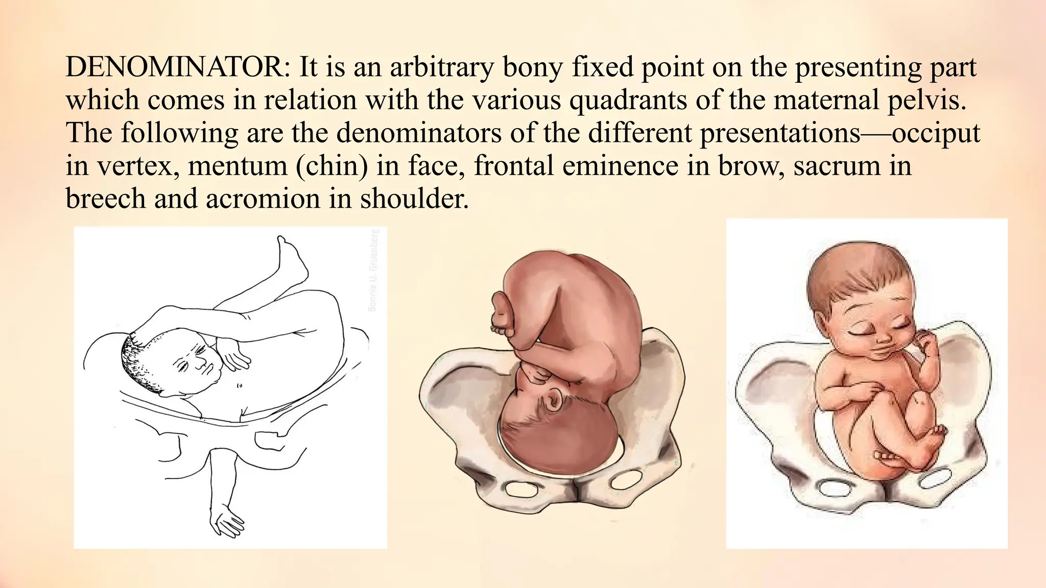 fetus in uterus, postion , presentation of fetus in mother's womb | PPTX