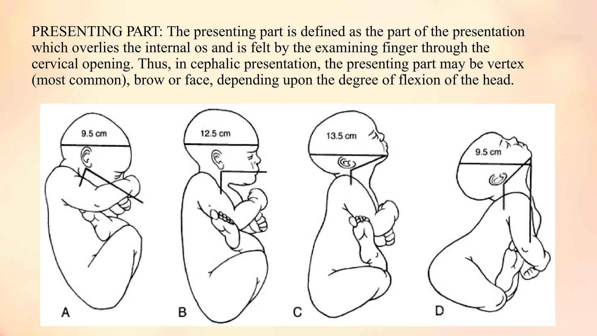 fetus in uterus, postion , presentation of fetus in mother's womb | PPTX