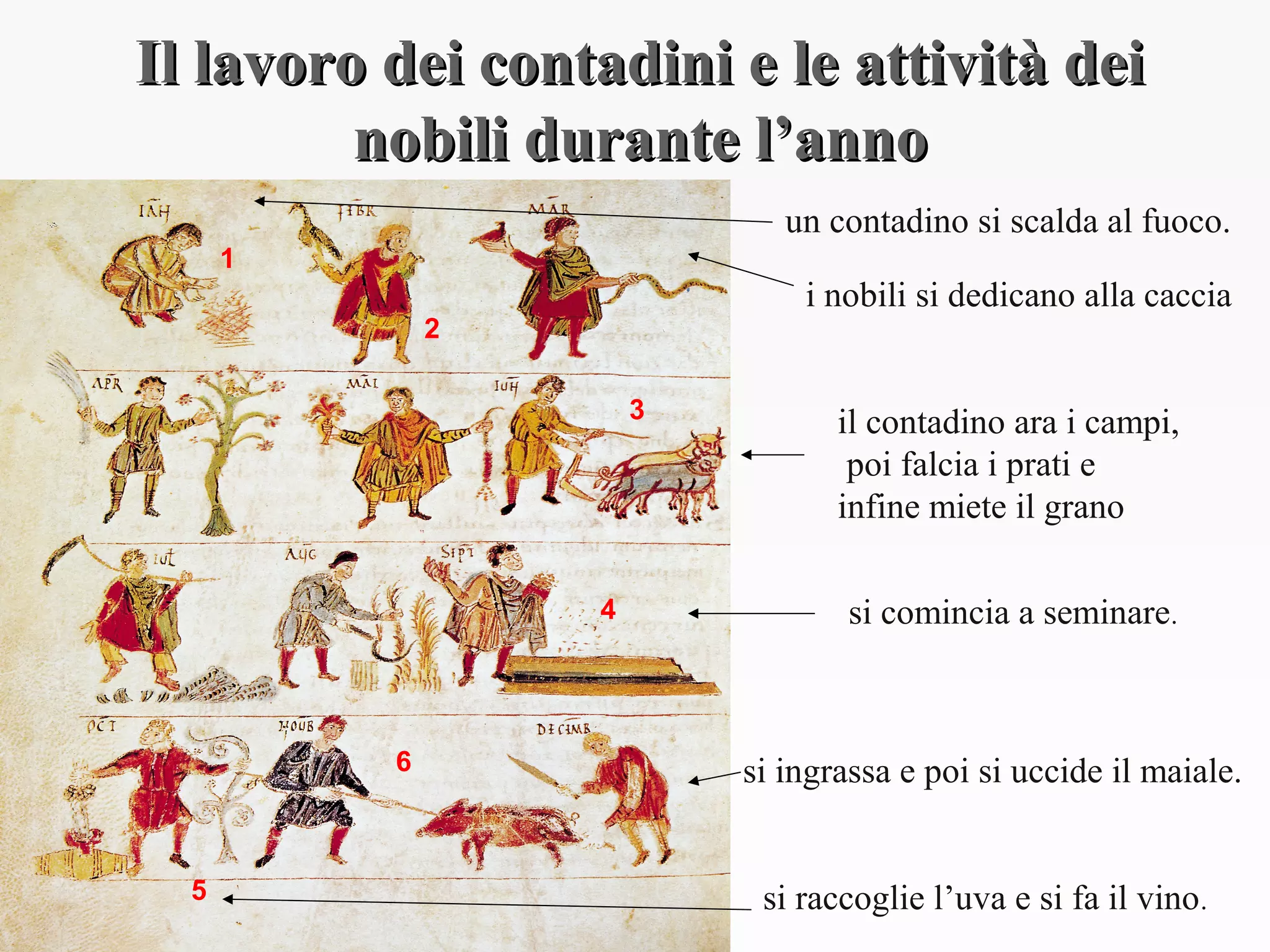 Il Feudalesimo | PPT