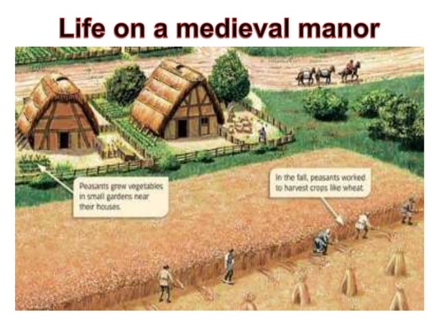 Feudalism in the Middle Ages PPT.pptx | Christianity | Religion ...